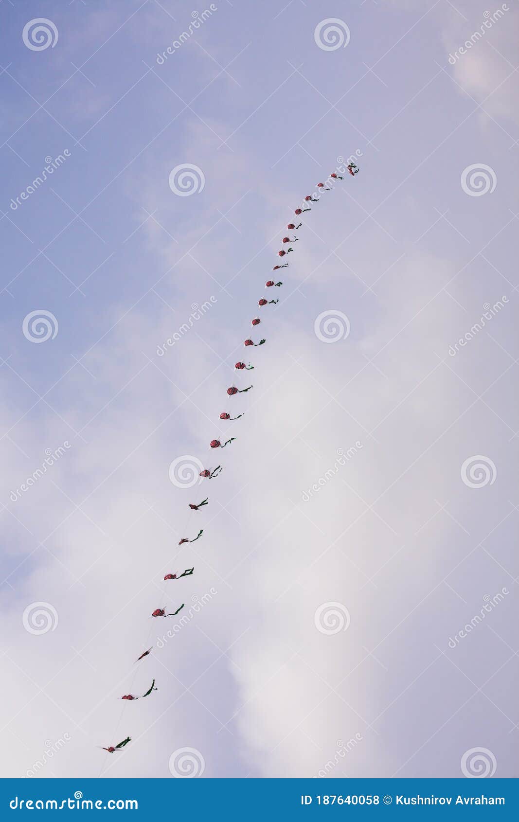 Chain of Kites on a Holiday Stock Photo - Image of tall, vacation ...
