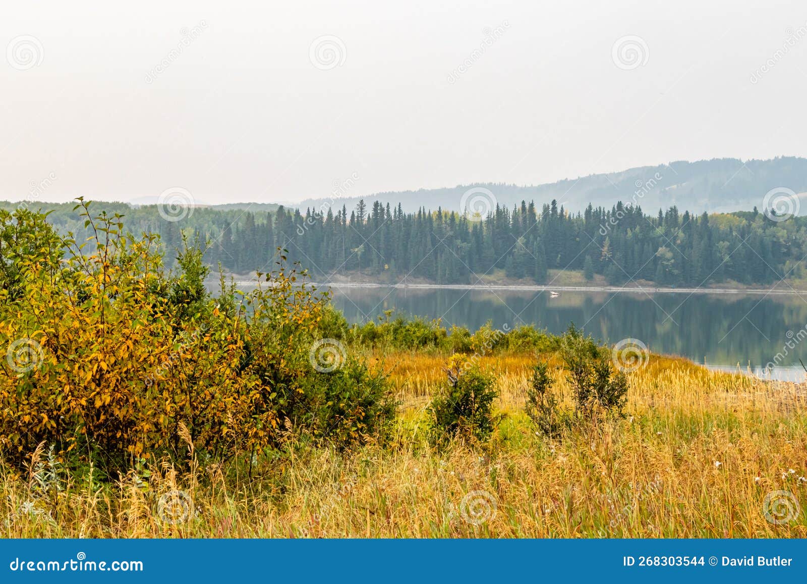 Chain Lakes Provincial Park, Alberta, Canada Stock Photo - Image of ...