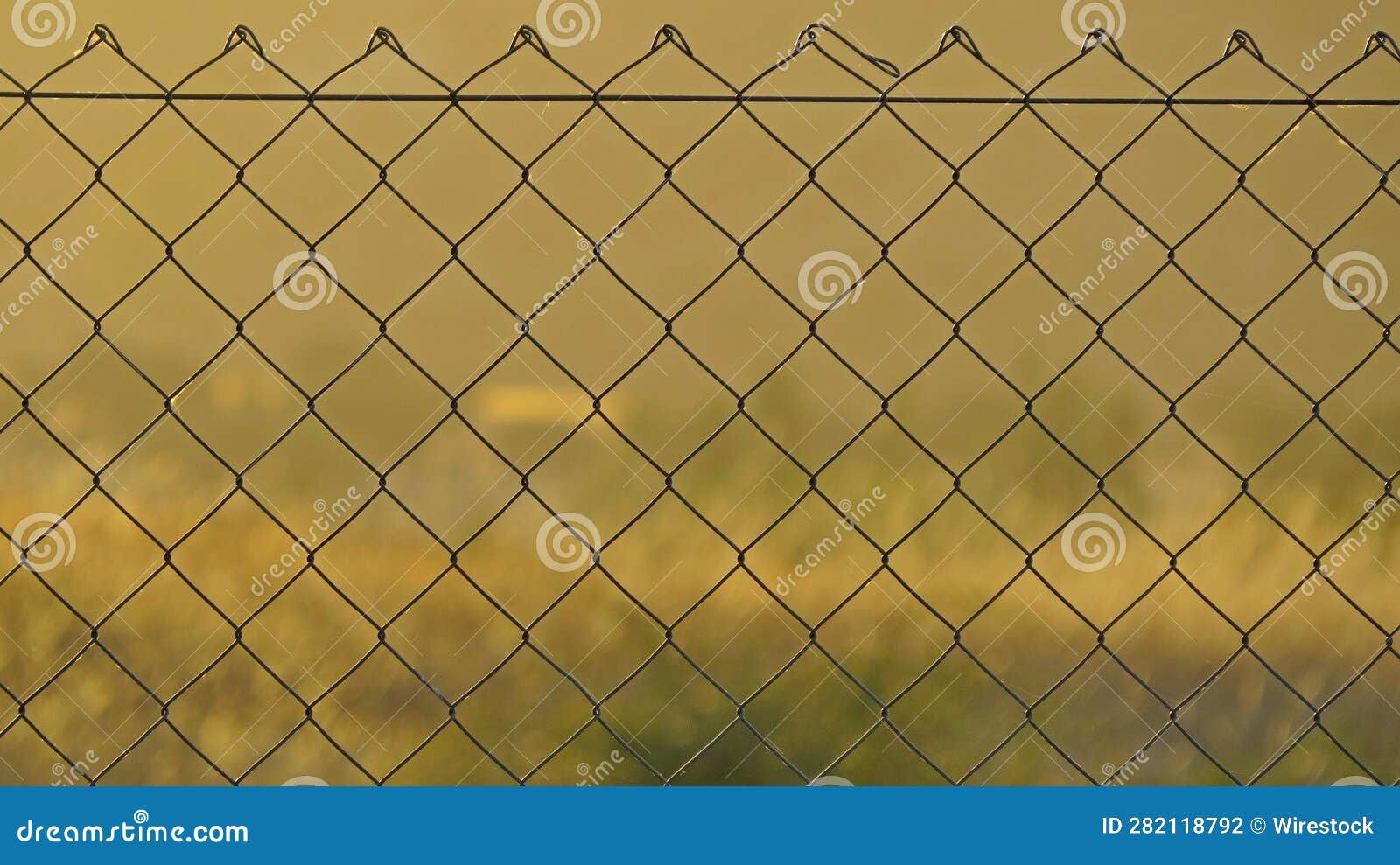Chain-link Fence Against a Golden Blurry Backdrop. Stock Photo - Image ...
