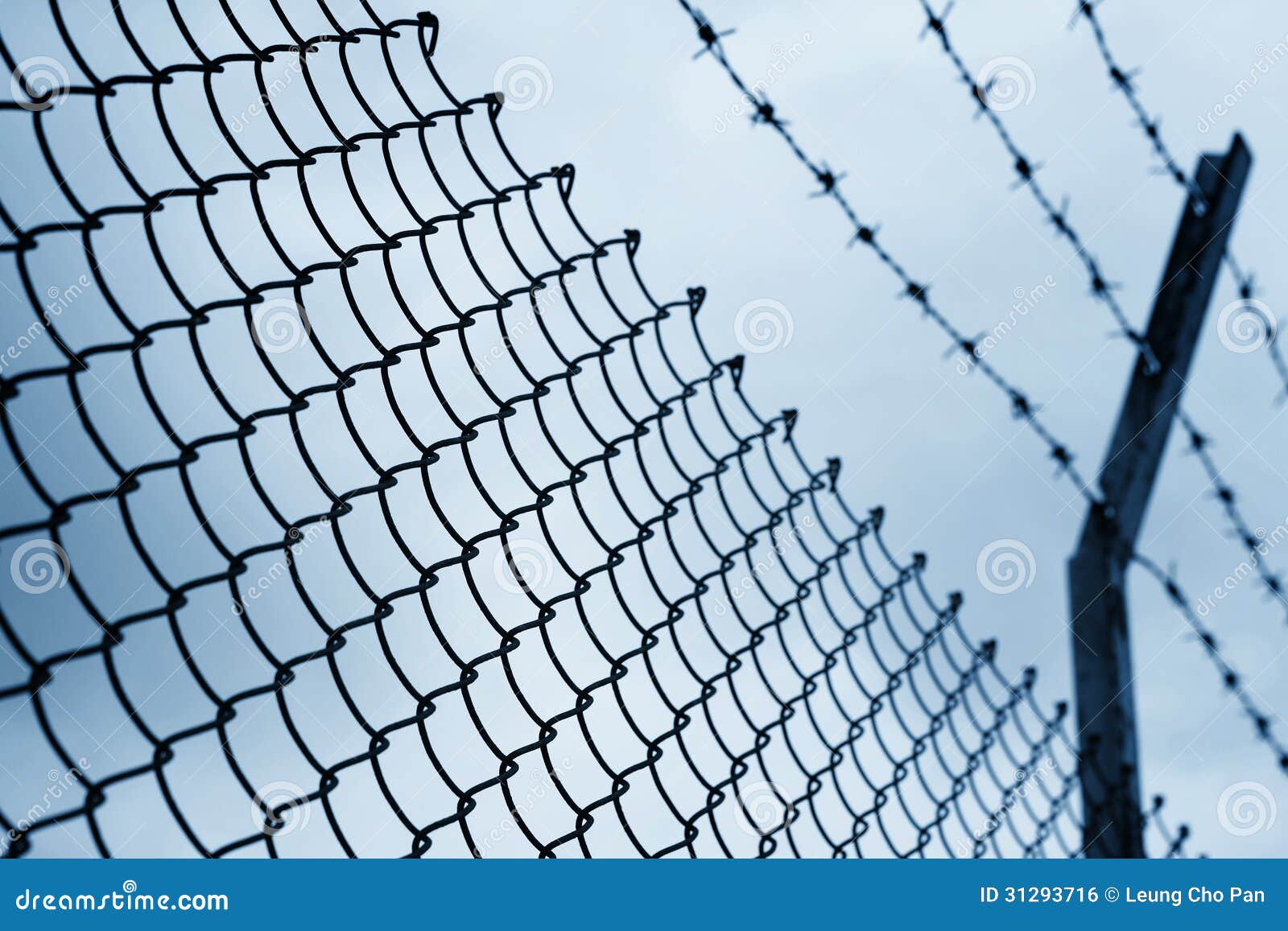 Chain link fence stock photo. Image of border, netting - 31293716