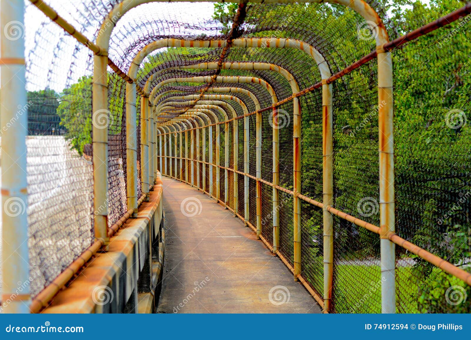 Chain Link Walkway stock photo. Image of trees, steel - 74912594