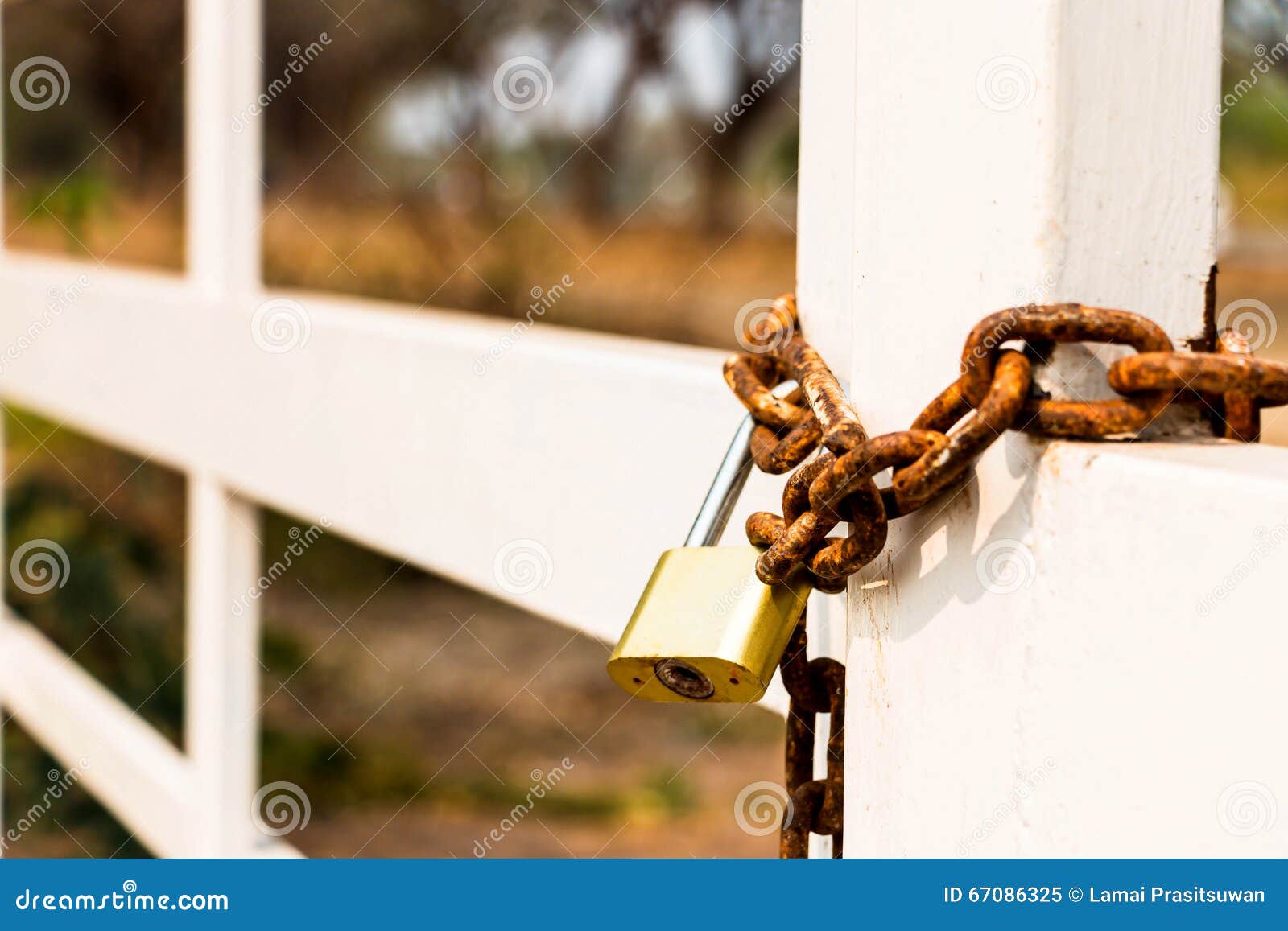 Unallow Photos - Free & Royalty-Free Stock Photos from Dreamstime