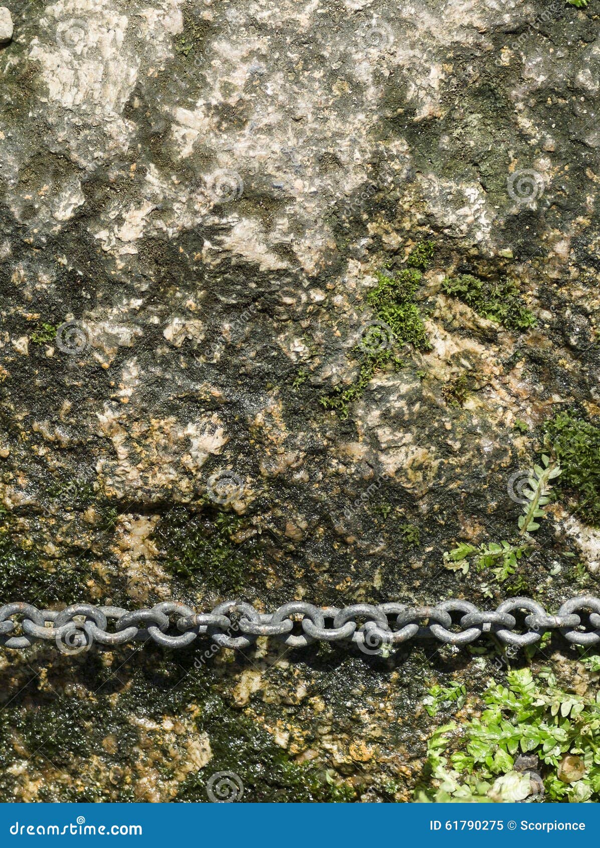 Chain Over Moss-covered Rock Texture Stock Image - Image of shadow ...