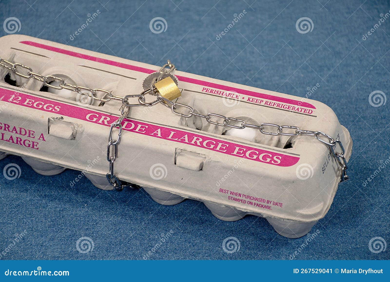 Chain and Padlock on Dozen Eggs Stock Image - Image of isolated ...
