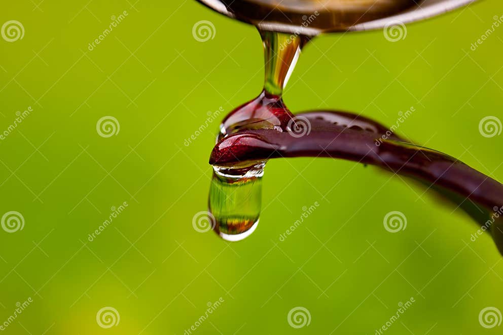 Chain reaction stock photo. Image of fall, spectra, leaves - 20423414