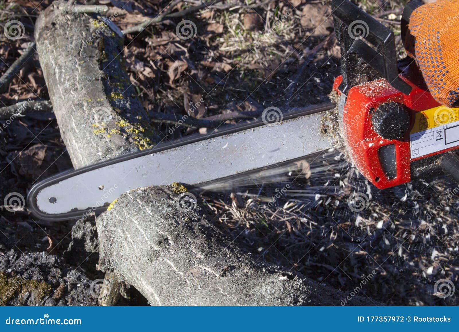 Chain Saw Cutting The Wood Stock Photo | CartoonDealer.com #177357972