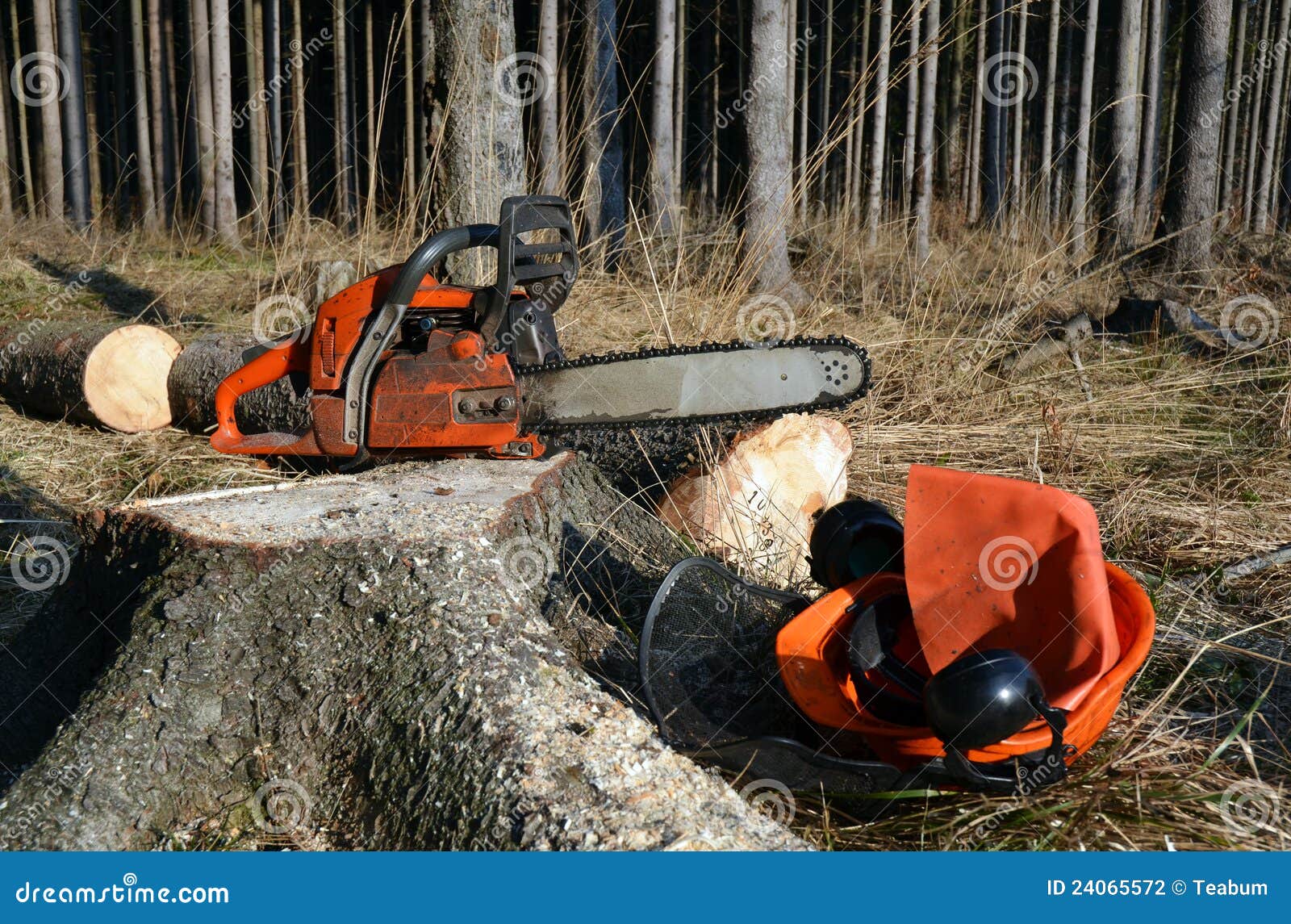 Chain Saw, Helmet on Tree Stump Stock Photo - Image of apparel, piece ...