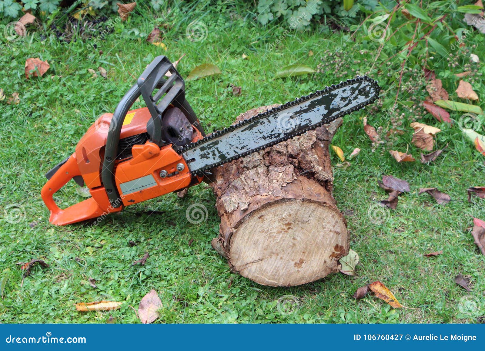 Chain saw on a log stock image. Image of nature, garden - 106760427