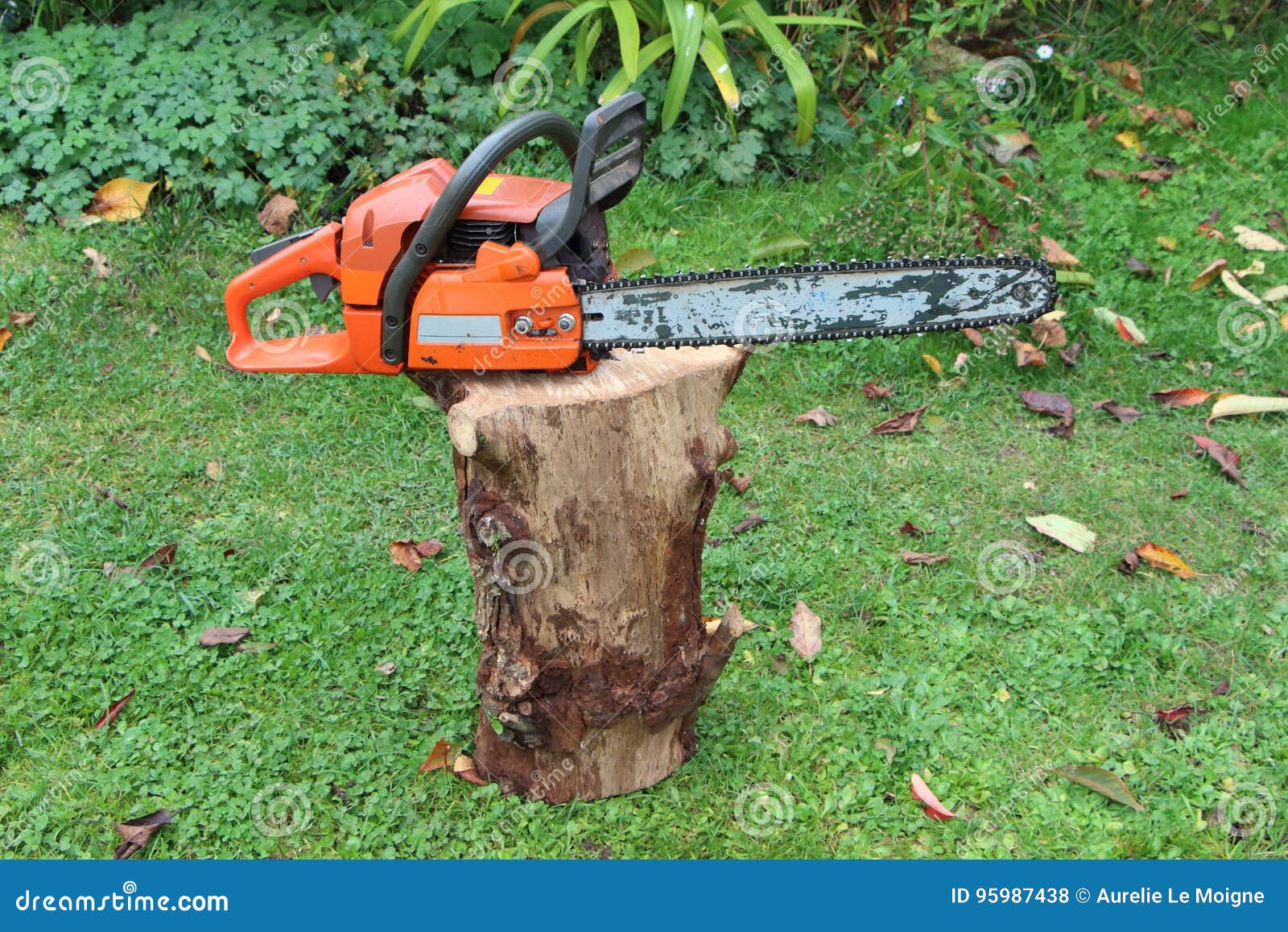 Chain saw on a log stock photo. Image of equipment, nature - 95987438