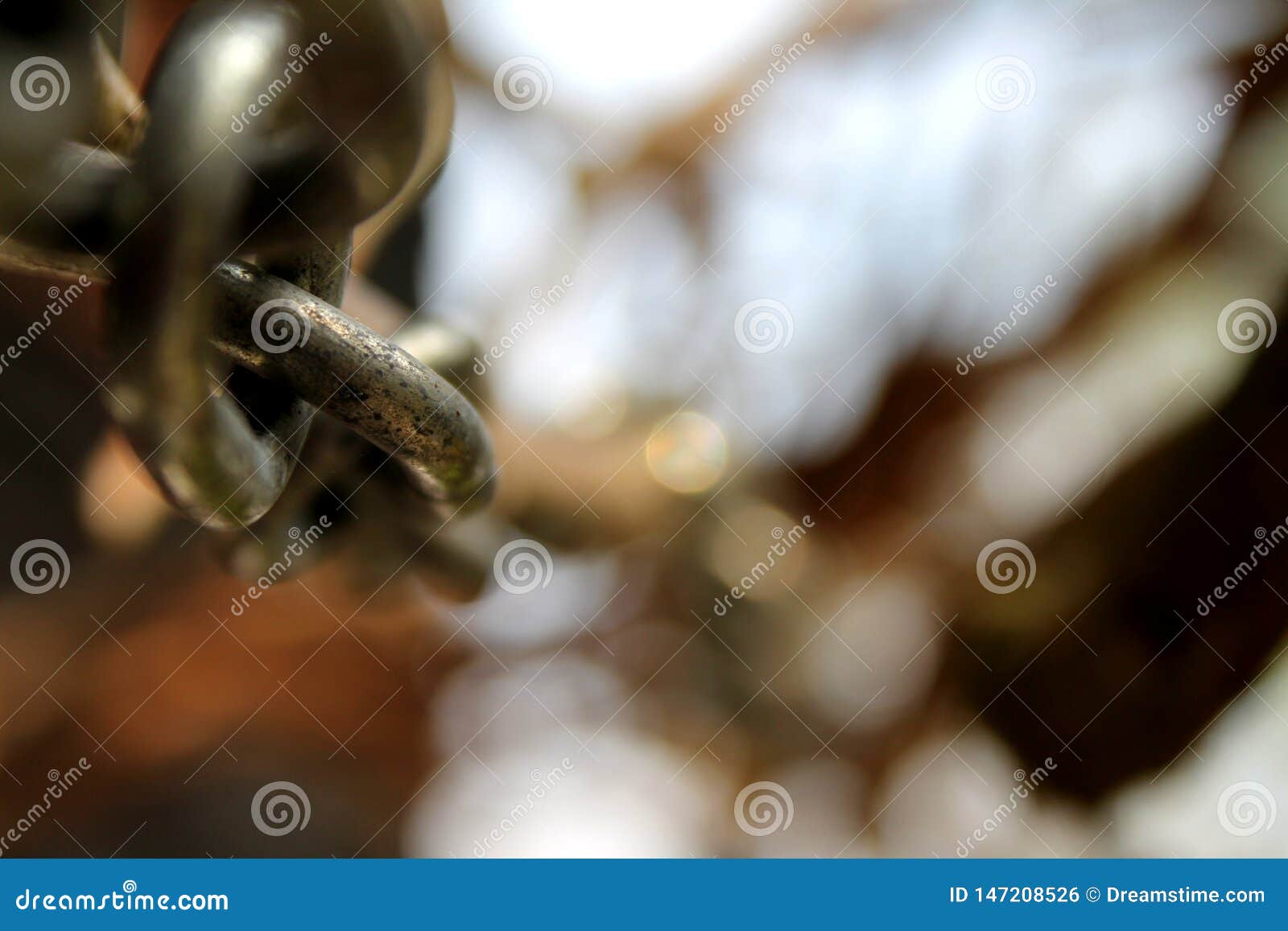 Chain in tree stock photo. Image of wood, branch, detail - 147208526