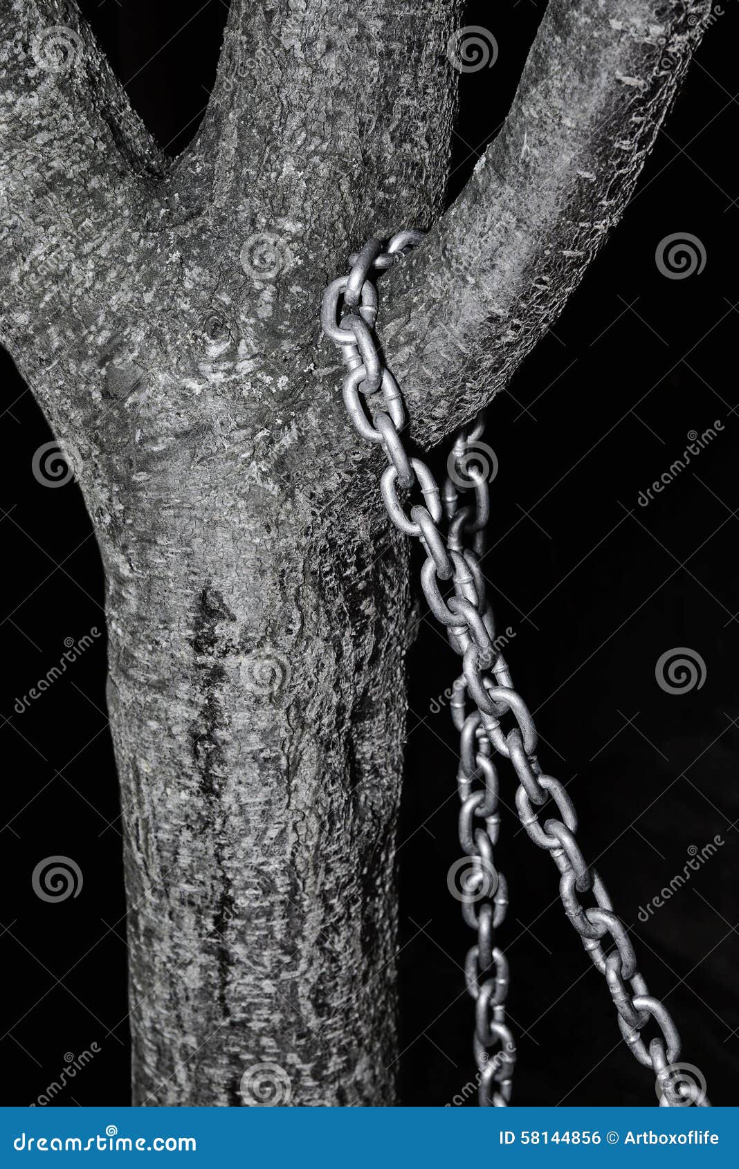 Chain on a tree. stock photo. Image of rust, pattern - 58144856