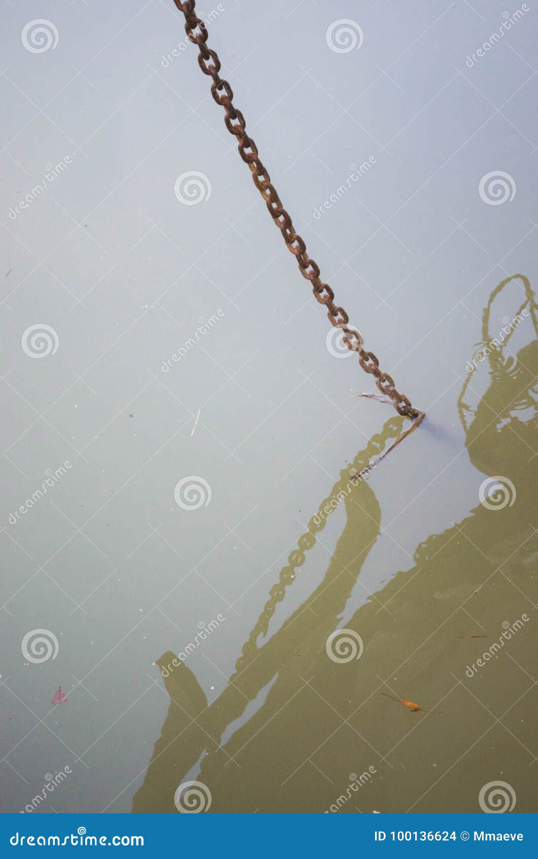 A chain in the water stock photo. Image of detail, reflections - 100136624