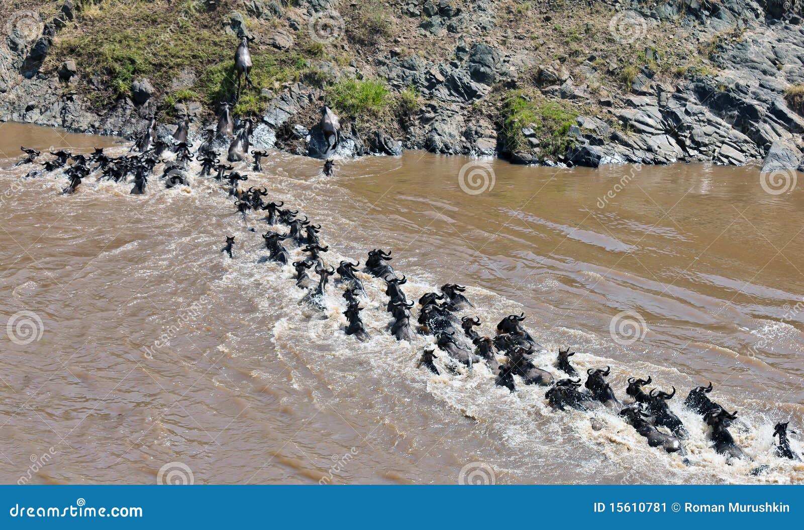 A Chain Is Crossing The Road Royalty-Free Stock Photo | CartoonDealer ...