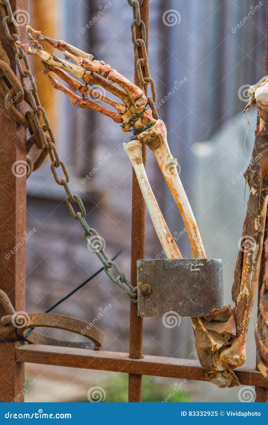Chained Fake Skeleton Chained Editorial Image - Image of grate ...