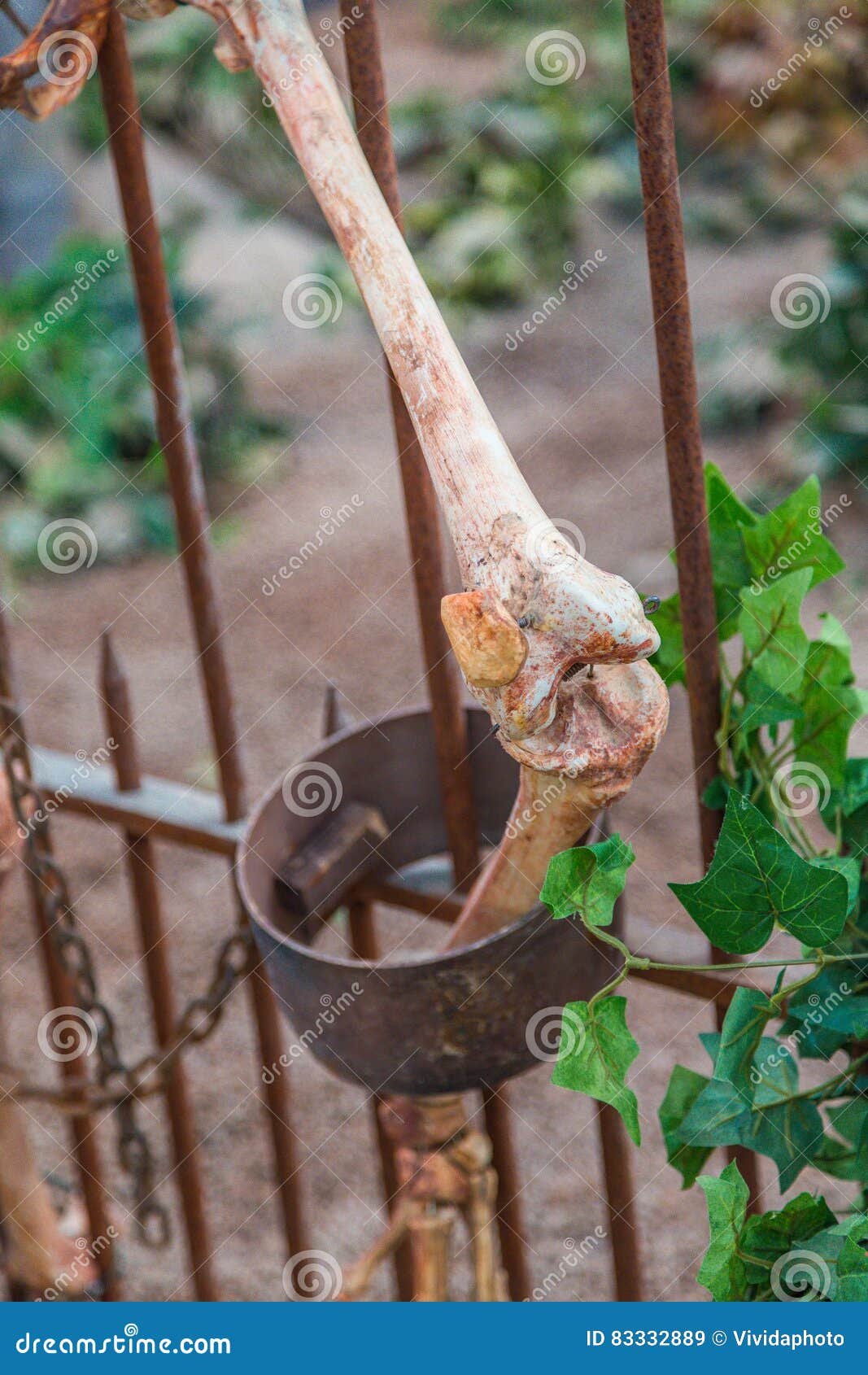 Chained Fake Skeleton Chained Editorial Stock Image - Image of death ...