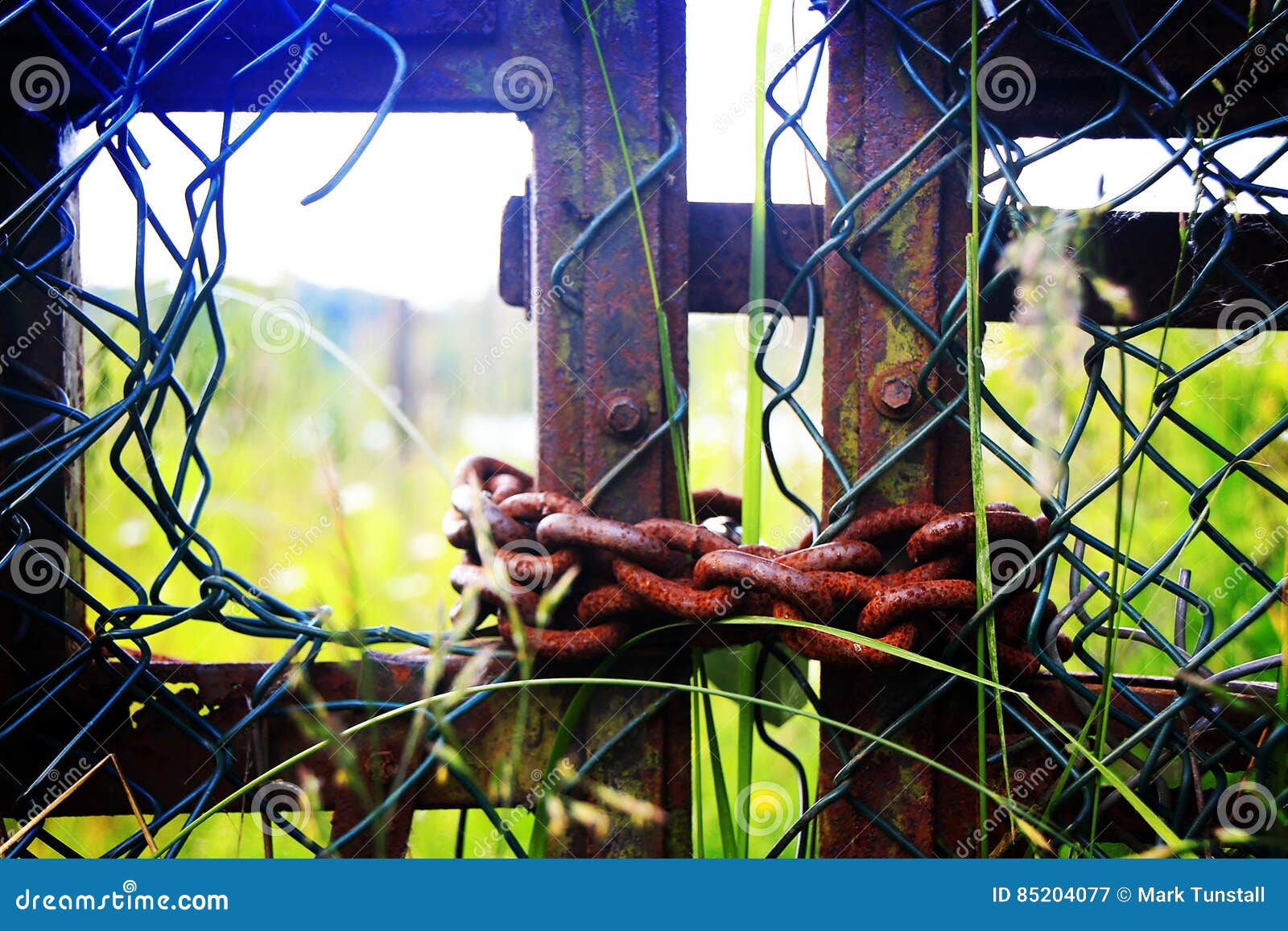 Chained gates stock image. Image of safety, green, rusting - 85204077