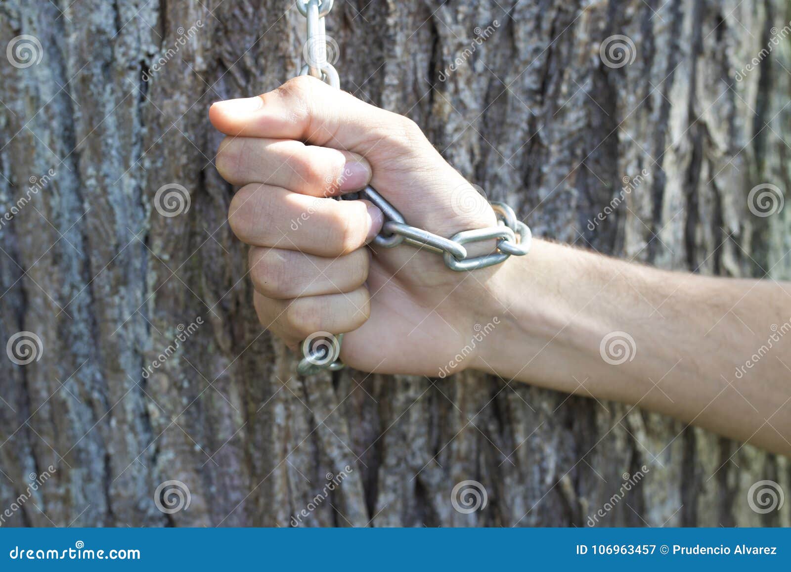 Chained to the tree stock image. Image of chain, environment - 106963457