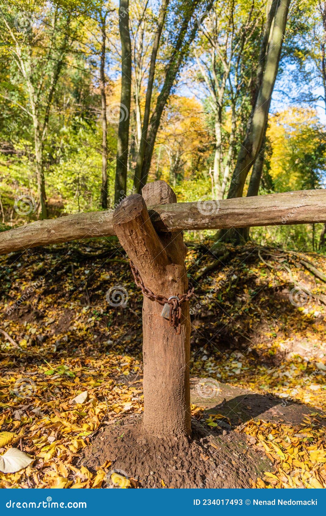Chained Tree, Symbolizing the Defense of the Forests. Environmental ...