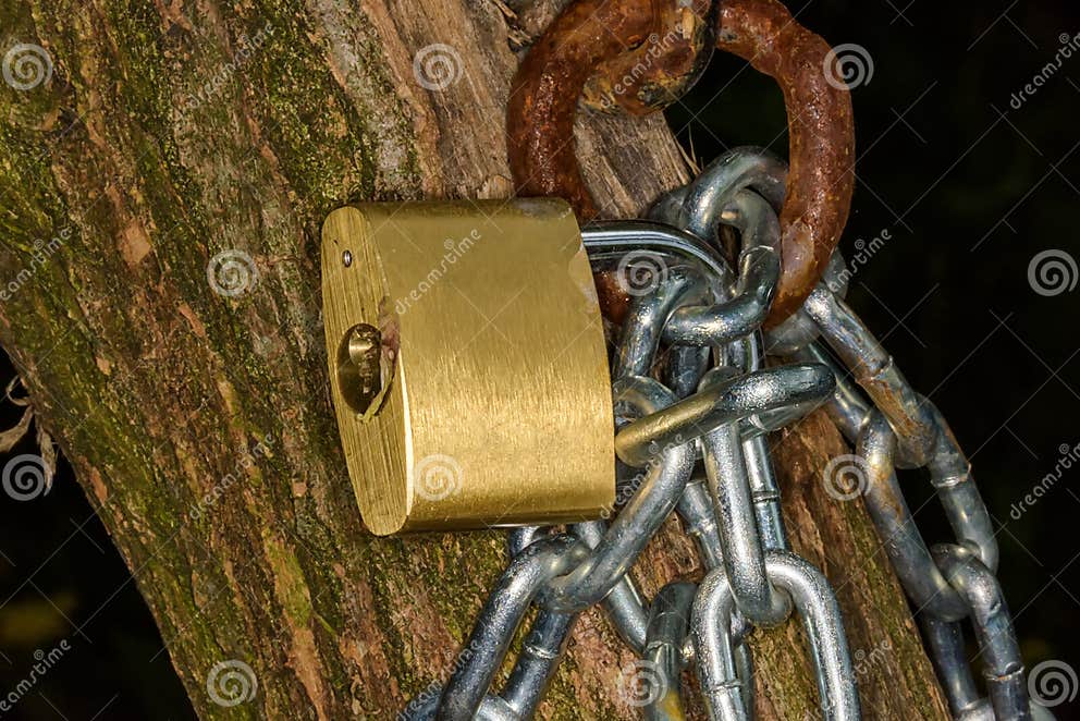 Chained Tree, Symbolizing the Defense of the Forests. Environmental ...