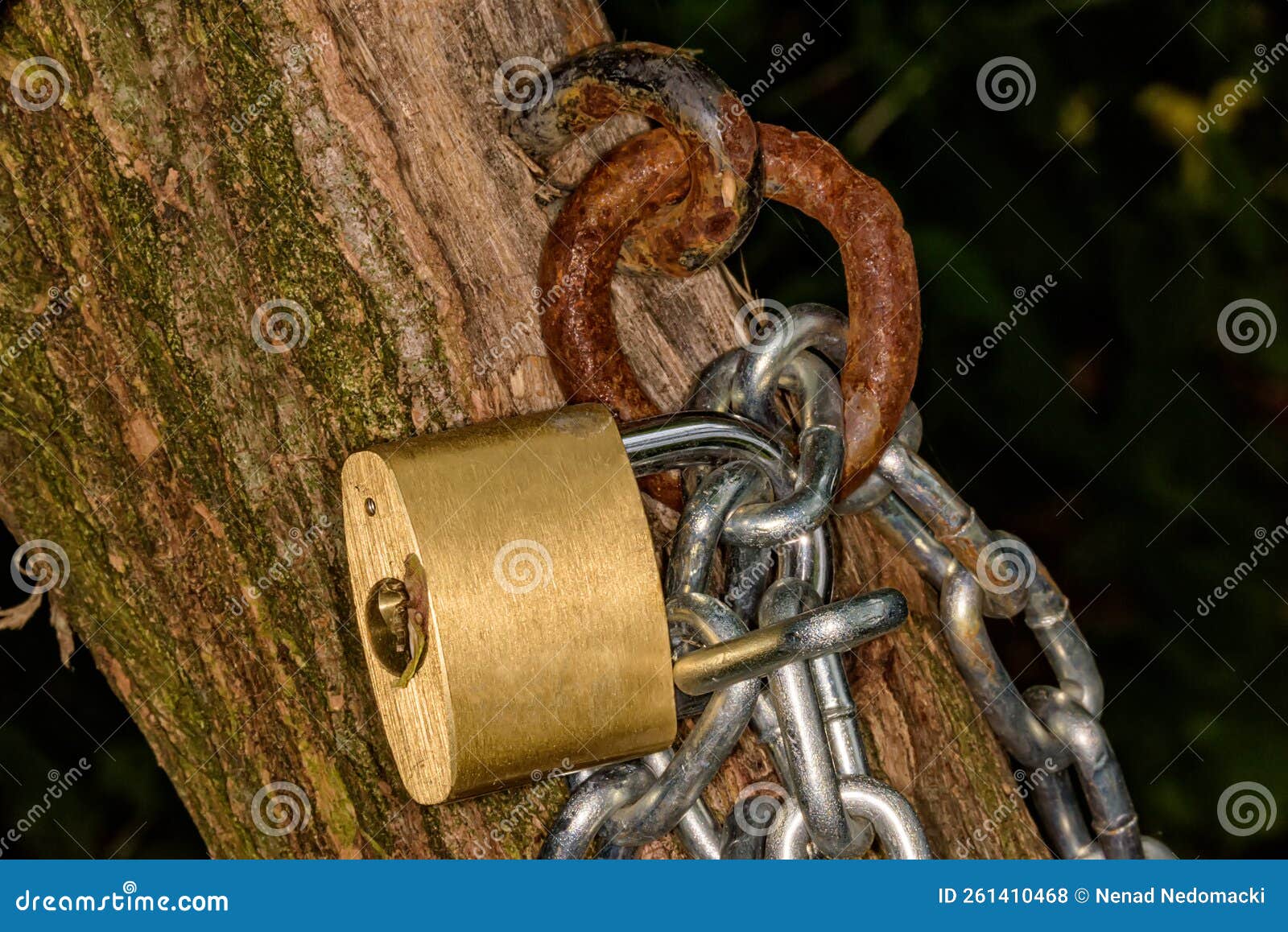 Naughtygardengirl Chained To Tree Naked Thothub | My XXX Hot Girl