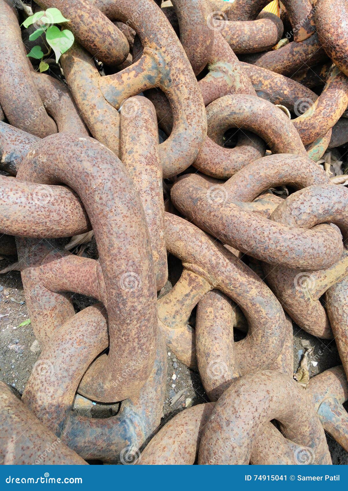 Chains stock image. Image of chain, security, rusted - 74915041