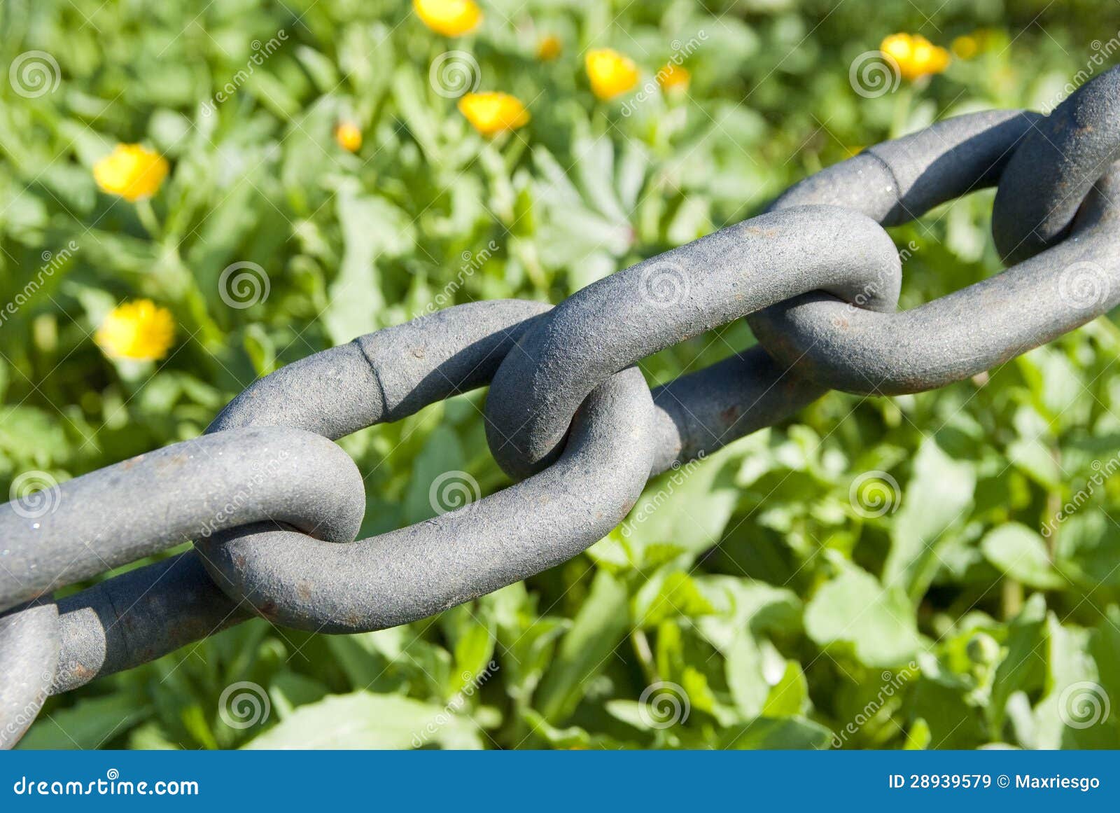 Chains on nature stock image. Image of field, horizontal - 28939579