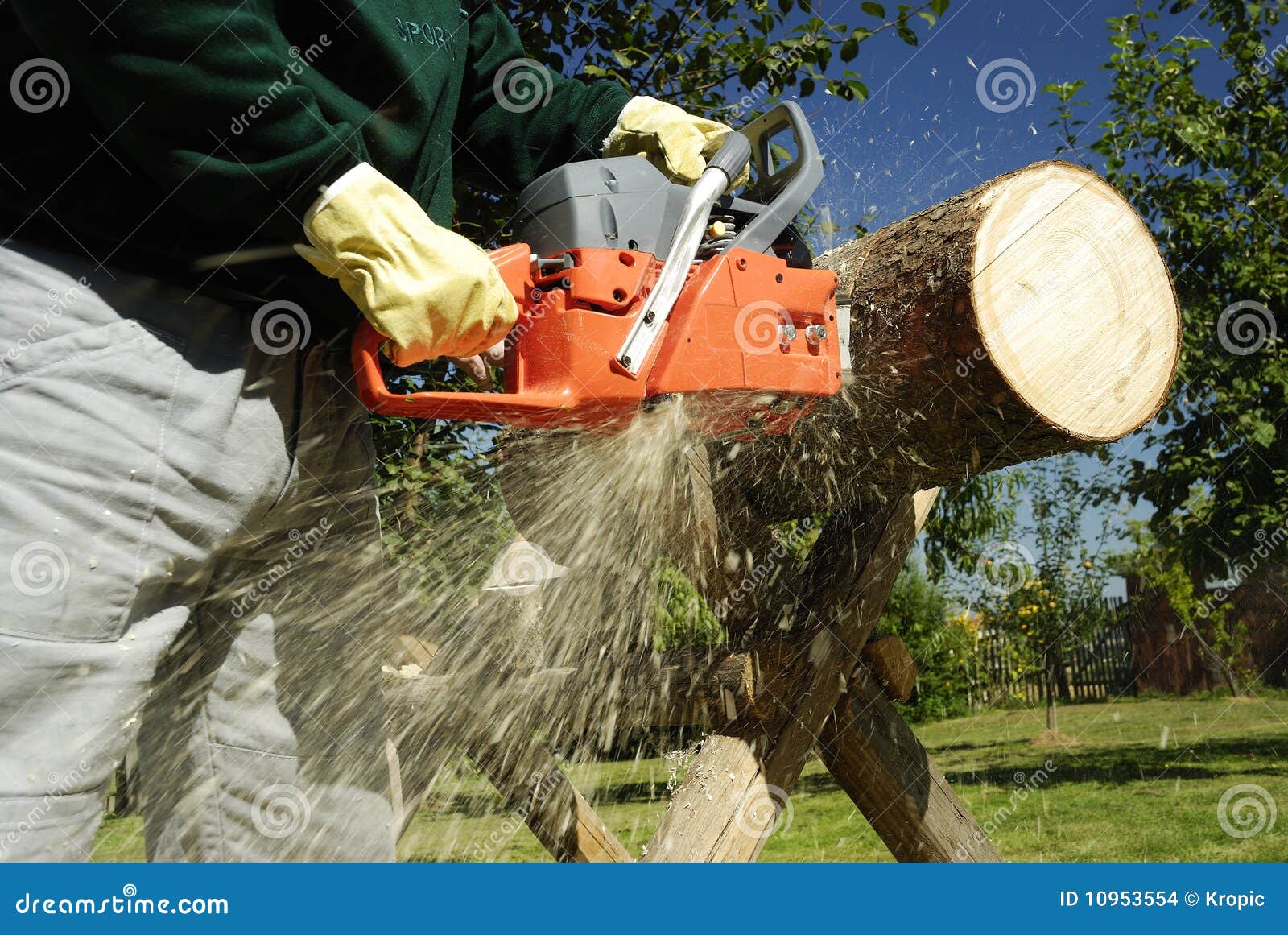 The chainsaw stock photo. Image of falling, lumberjack - 10953554