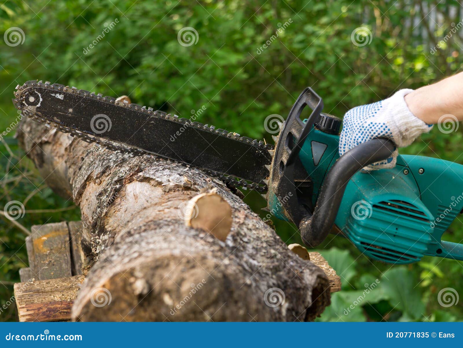 Chainsaw stock image. Image of lumber, chainsaw, birch - 20771835
