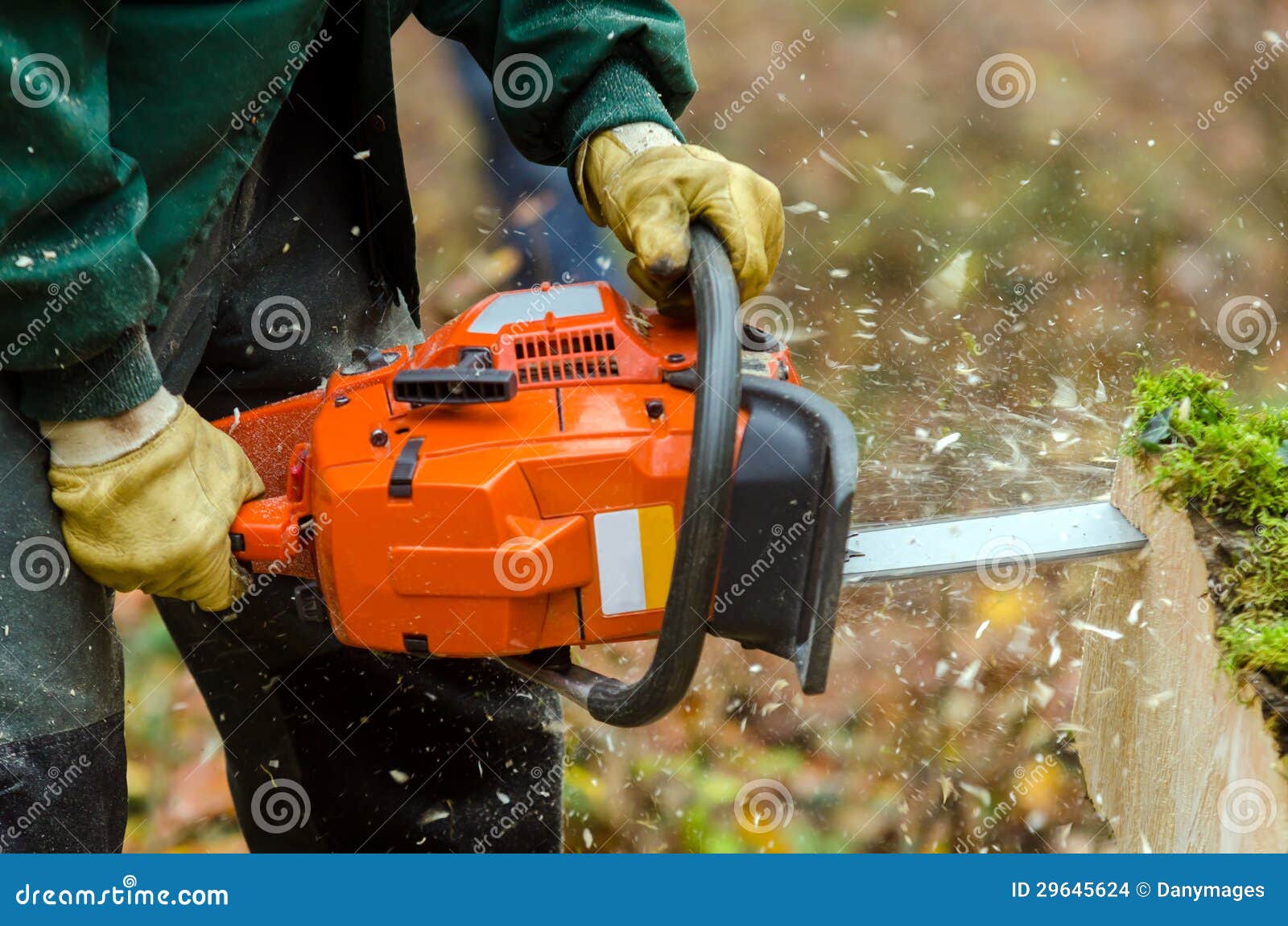 Chainsaw stock photo. Image of manual, trunk, worker - 29645624