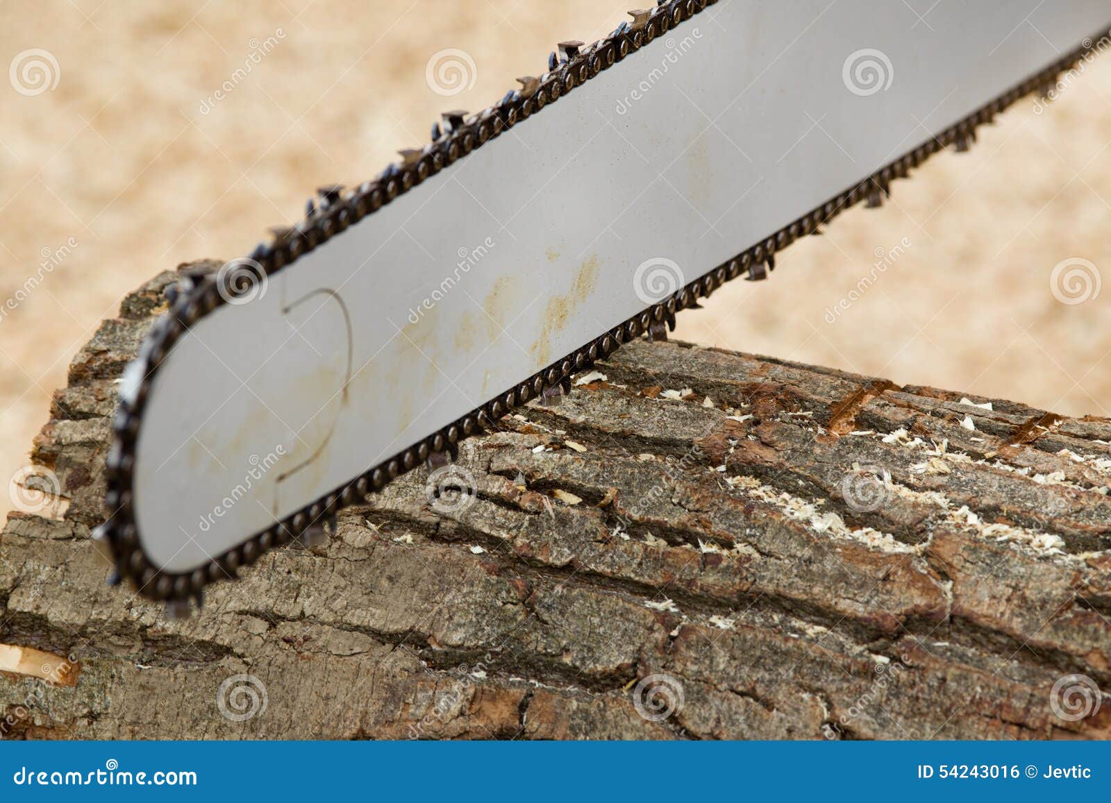 Chainsaw stock photo. Image of cutting, lumber, chainsaw - 54243016