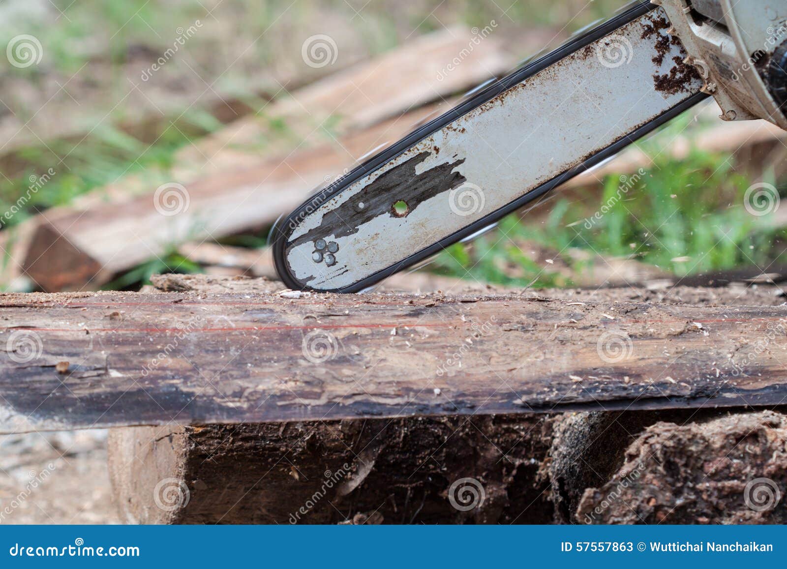 Chainsaw stock image. Image of machine, lumberjack, nature - 57557863