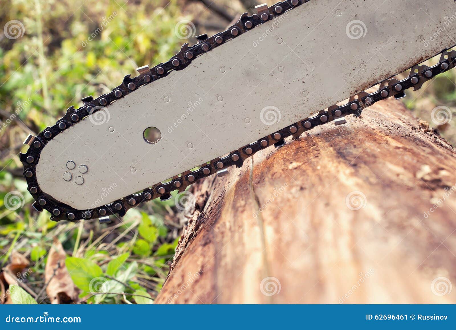Chainsaw Blade Cutting Log of Wood Stock Image - Image of chainsaw ...