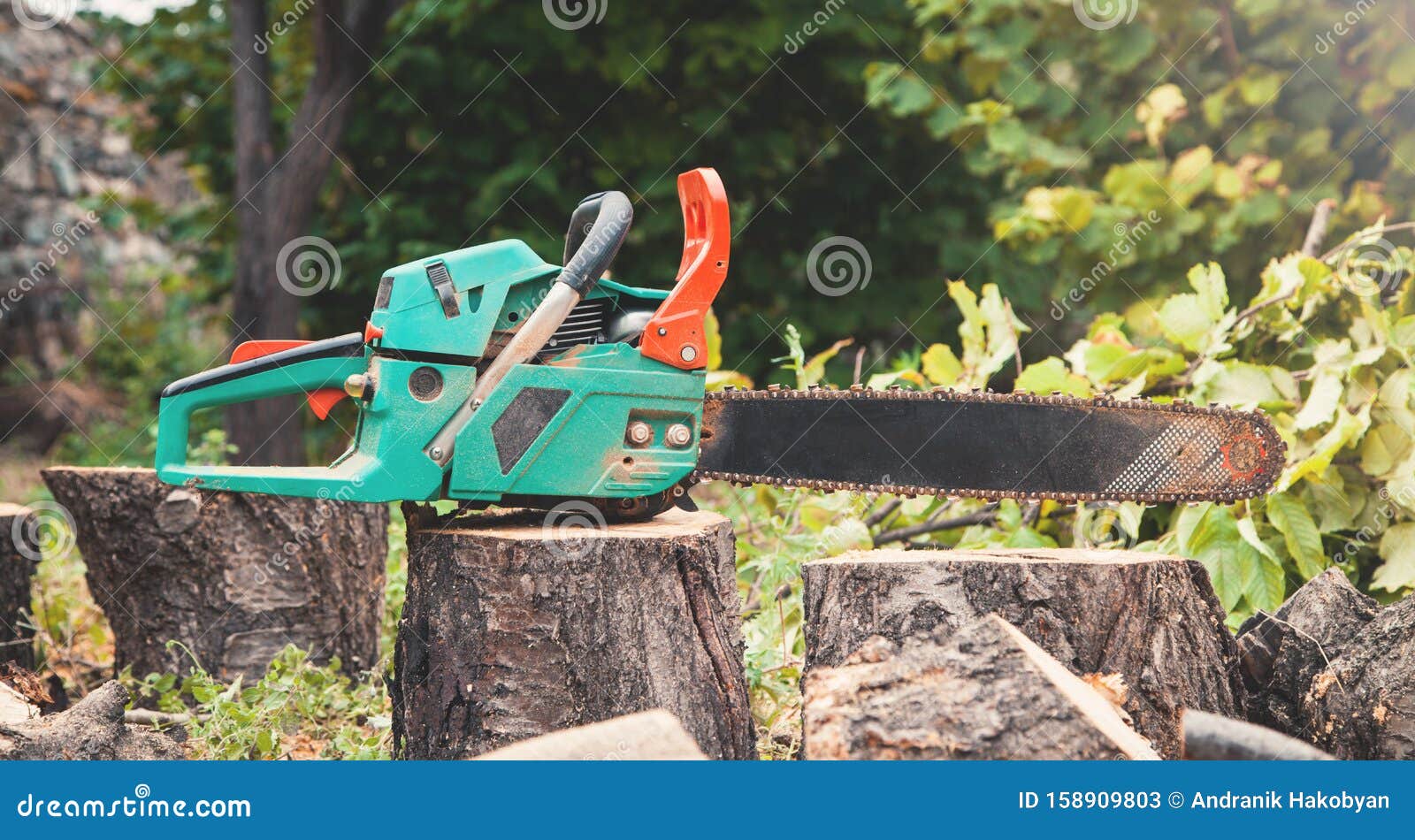 Chainsaw on Cut Logs into the Woods. Tree Cutting Stock Image - Image ...