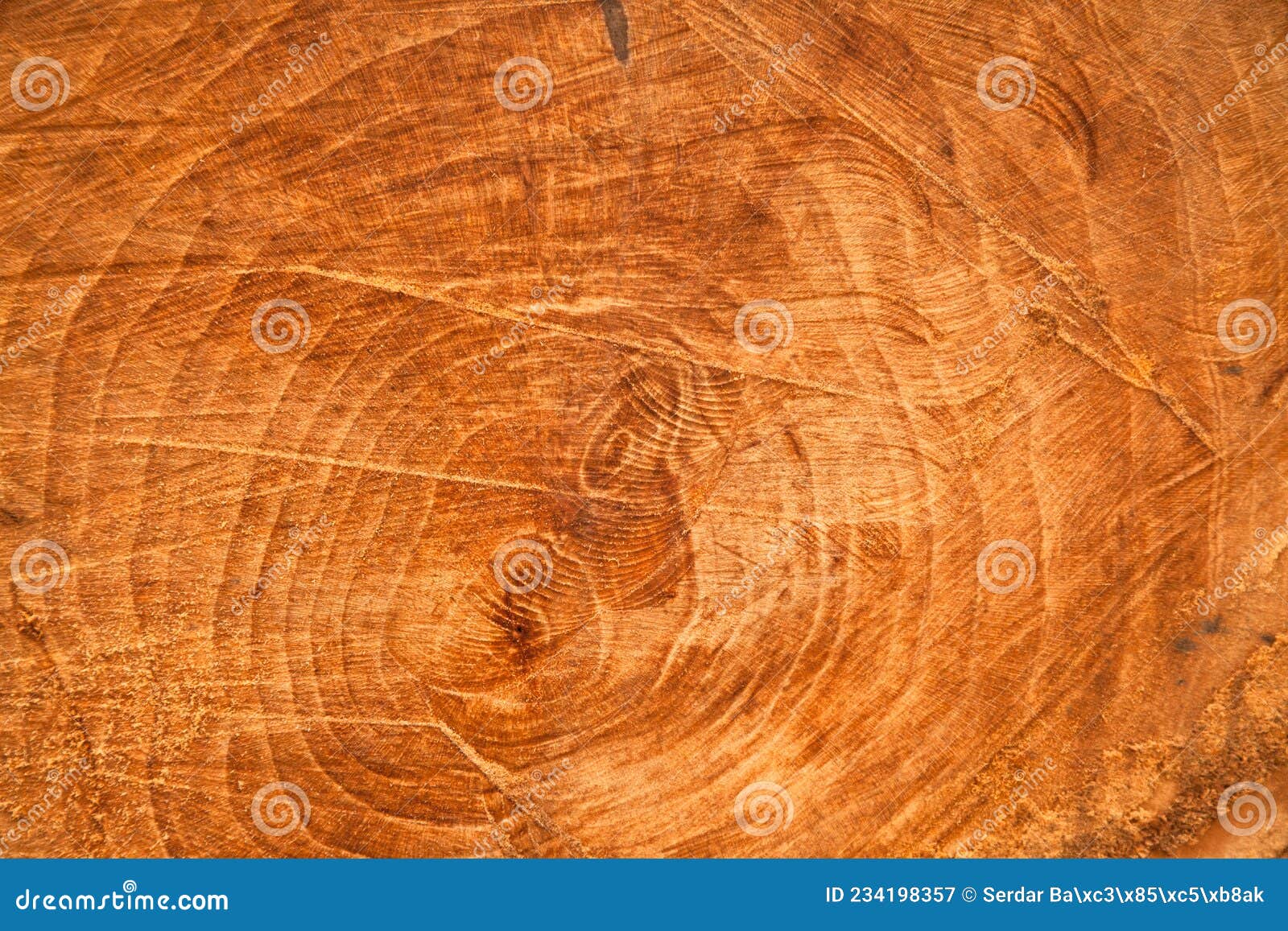 Chainsaw Cut Oak Wood Texture, Sawn Wood Texture Stock Image - Image of ...
