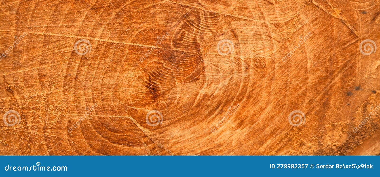 Chainsaw Cut Oak Wood Texture, Sawn Wood Texture Stock Image - Image of ...