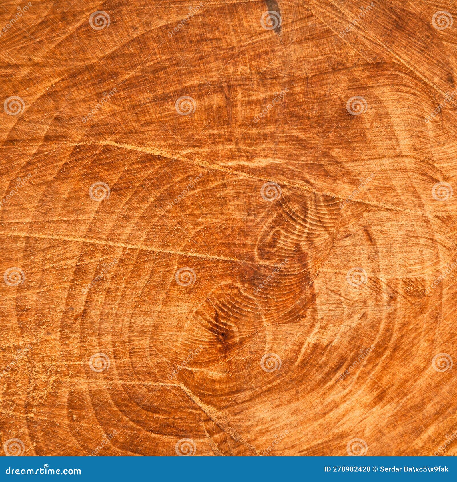 Chainsaw Cut Oak Wood Texture, Sawn Wood Texture Stock Photo - Image of ...