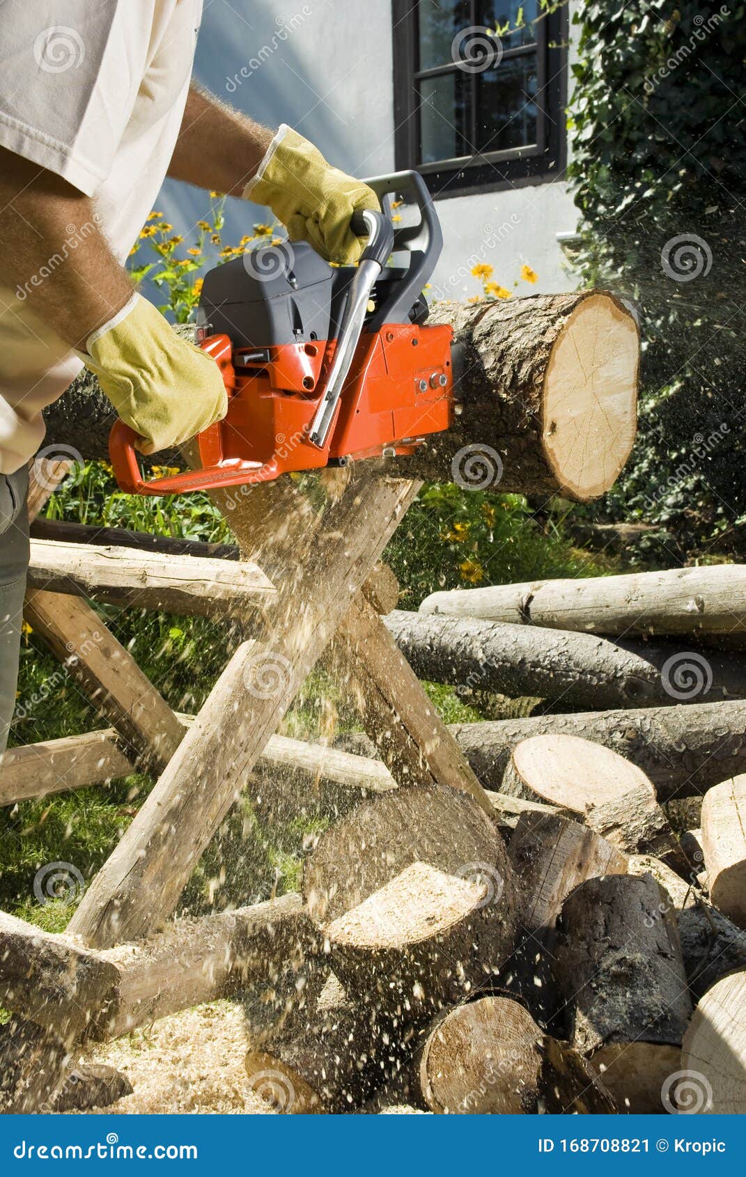 The chainsaw stock image. Image of lumber, outdoors - 168708821