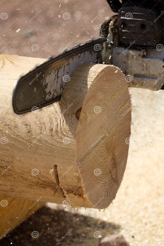 Chainsaw cutting tree stock image. Image of front, chain - 31575511