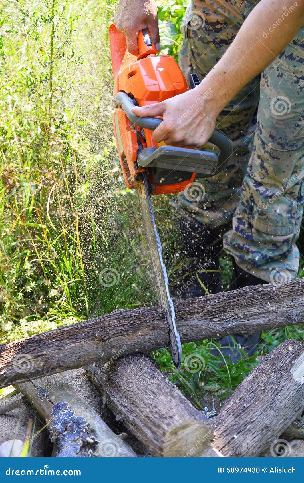 Chainsaw Cutting Wood in the Forest Stock Photo - Image of carpenter ...