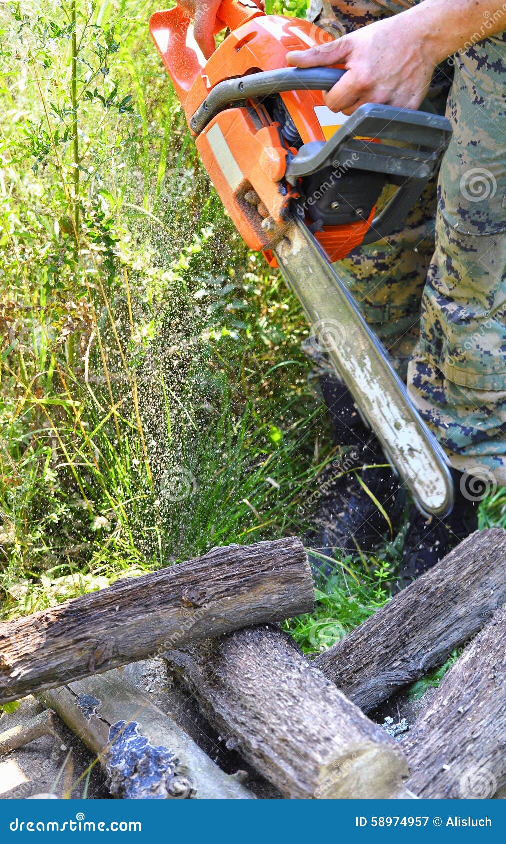 Chainsaw Cutting Wood in the Forest Stock Image - Image of nature ...