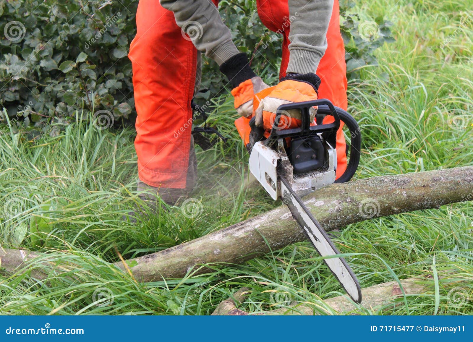 Chainsaw cutting wood stock image. Image of nature, outside - 71715477