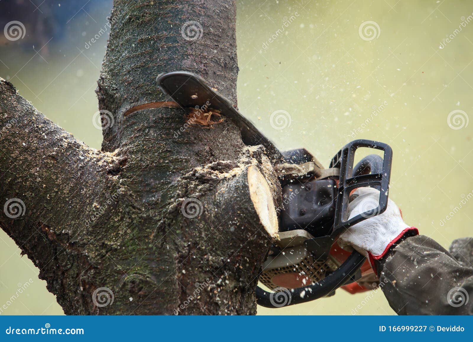 Chainsaw in a hands stock image. Image of lumberjack - 166999227