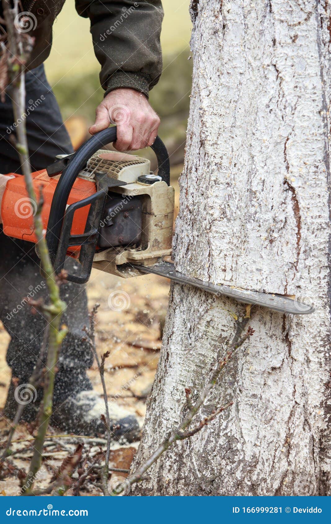 Chainsaw in a hands stock image. Image of hand, lumber - 166999281