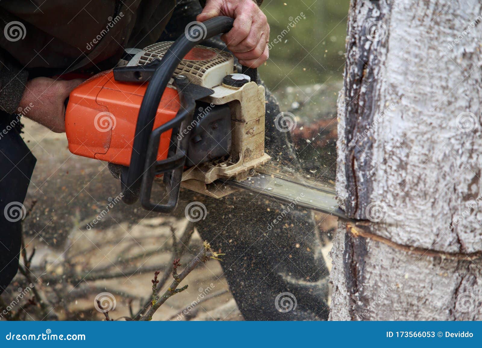 Chainsaw in a hands stock image. Image of action, branch - 173566053