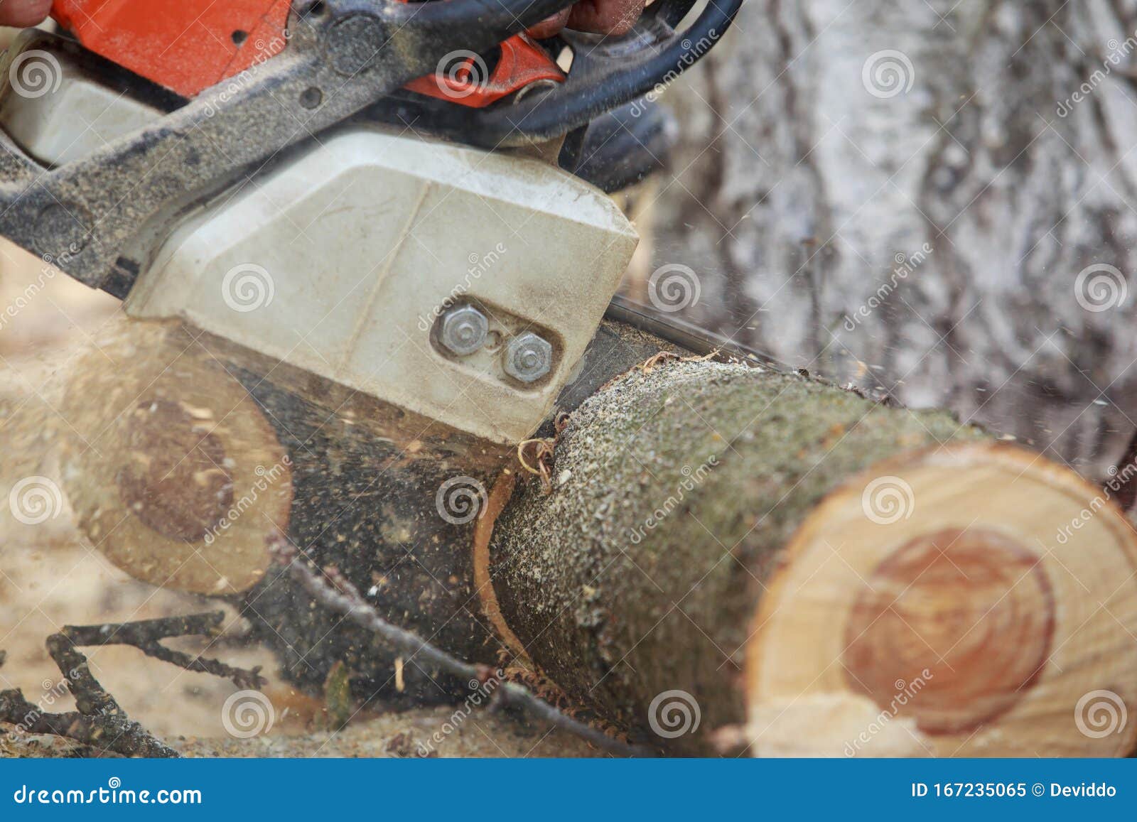 Chainsaw in a hands stock image. Image of action, cherries - 167235065