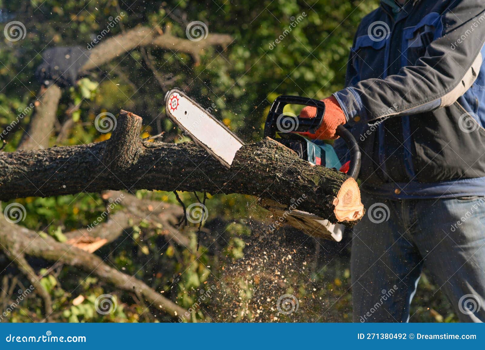 A Chainsaw in the Hands of a Man Sawing a Tree. Stock Photo - Image of ...