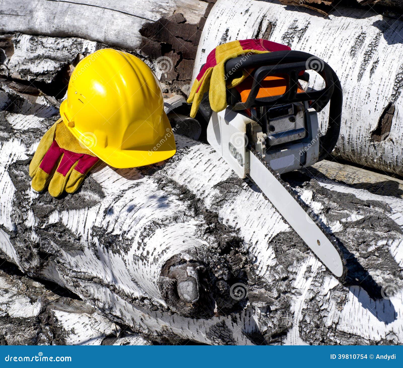 Chainsaw and Helmet on a Background of Trees Felled Stock Photo - Image ...