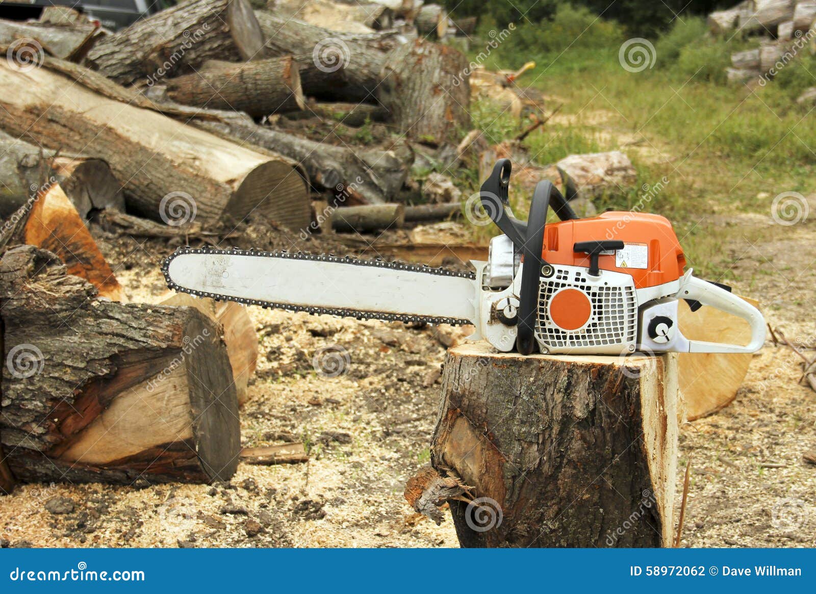 Chainsaw on a log outdoors editorial photography. Image of logs - 58972062