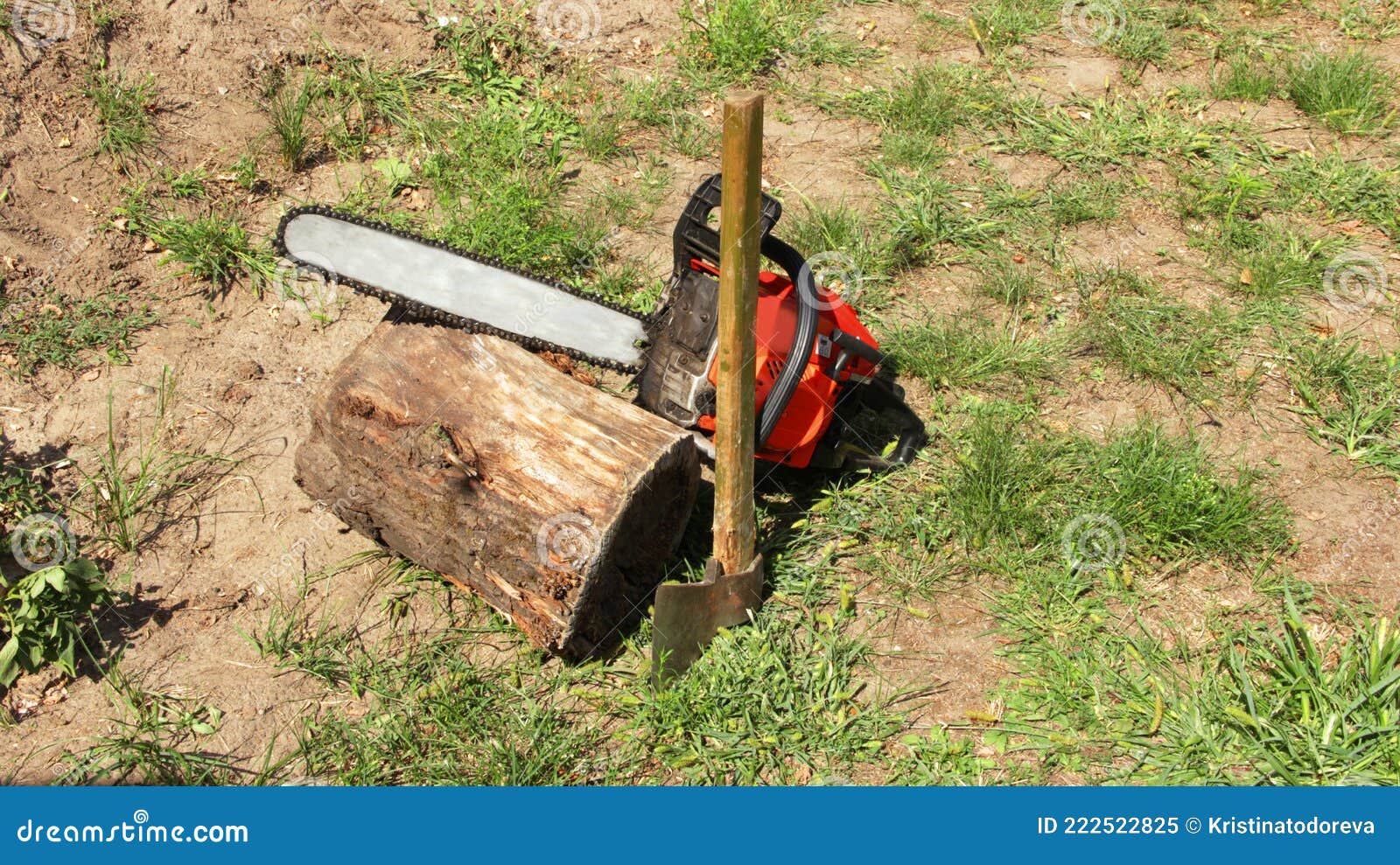 Chainsaw on the Tree. Chainsaw in the Forest Stock Image - Image of ...