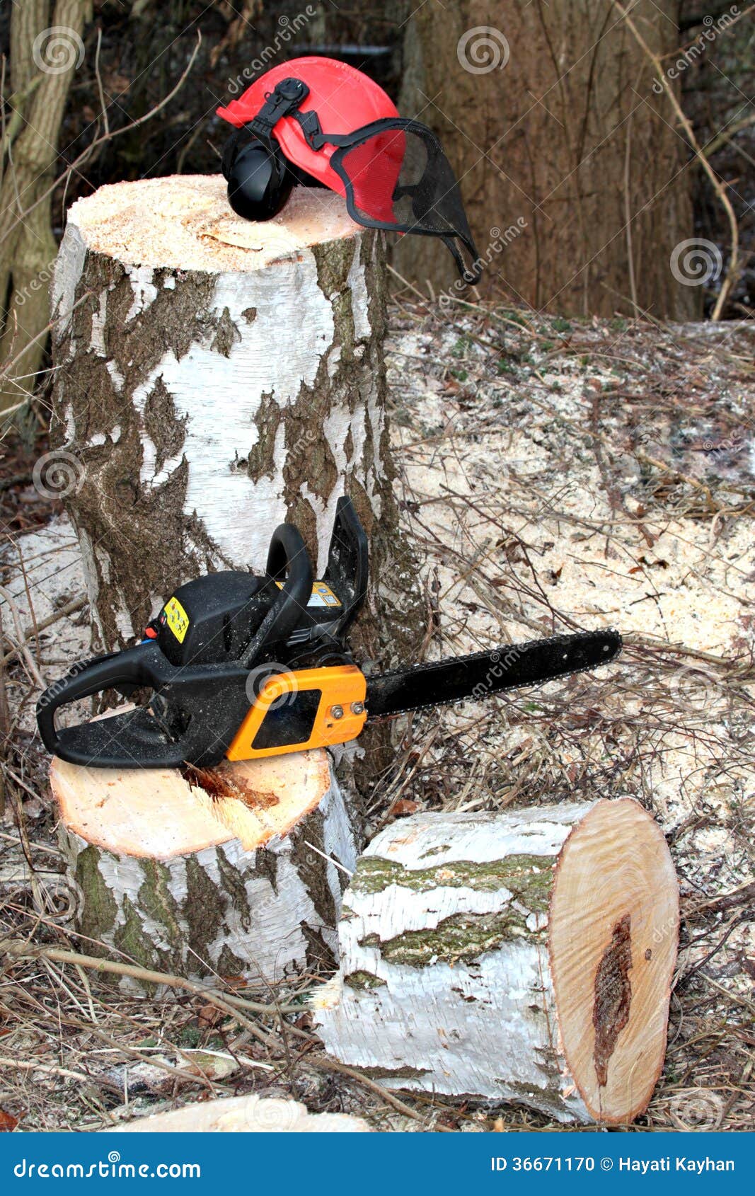 Chainsaw, Safety Equipment and Cutting Tree Stock Photo - Image of ...